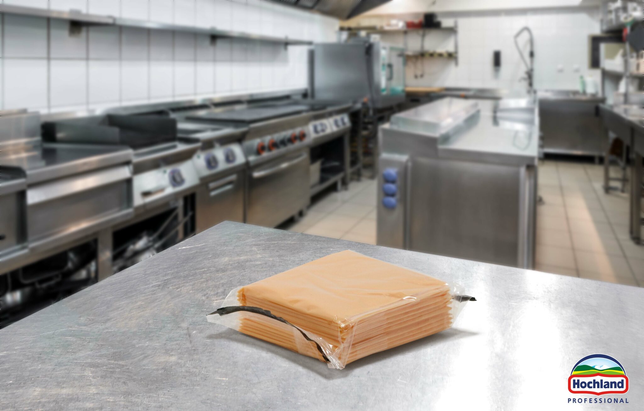 Processed cheese - IWS - Hochland Professional