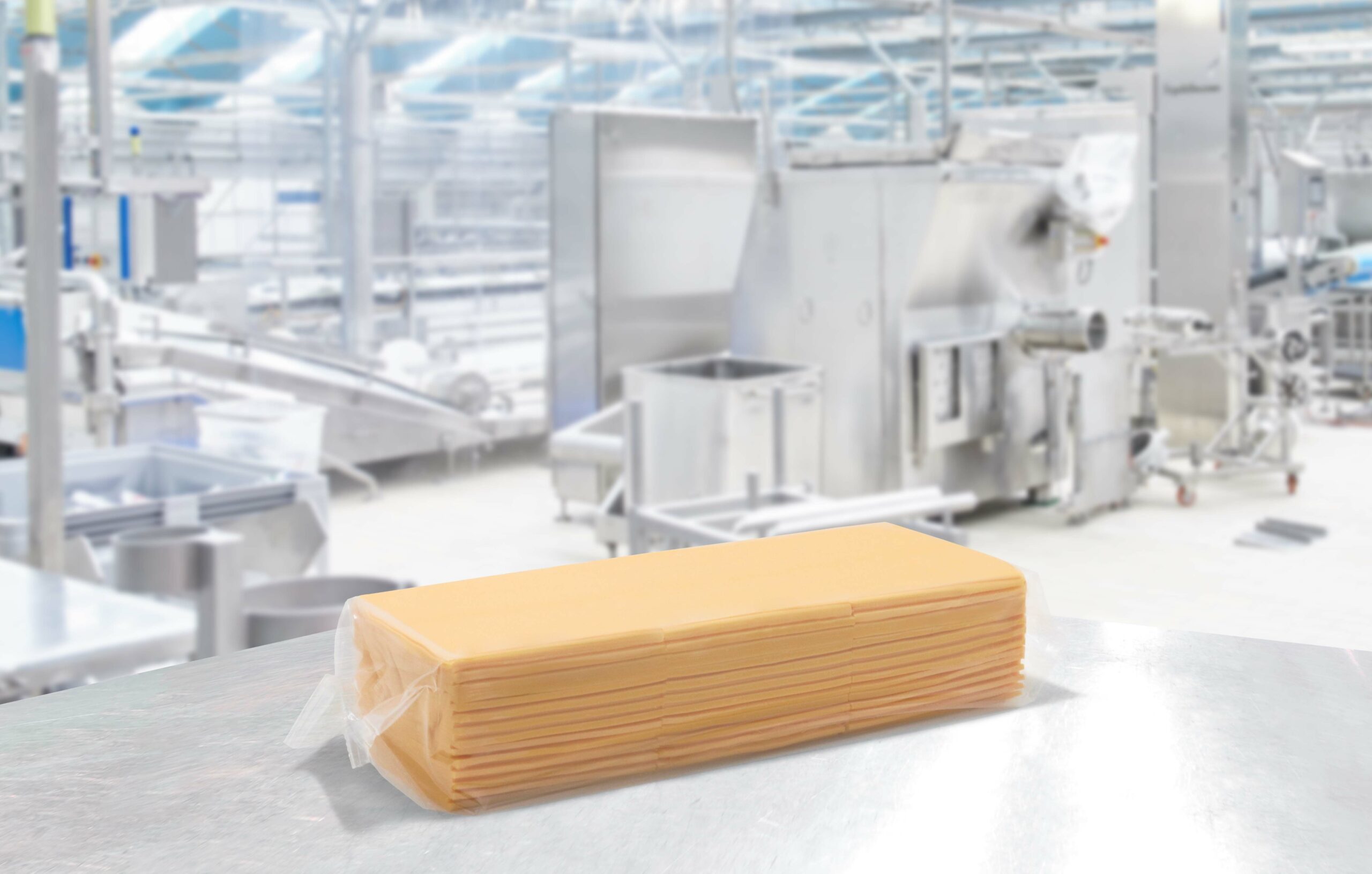 Your food processing - Hochland Professional